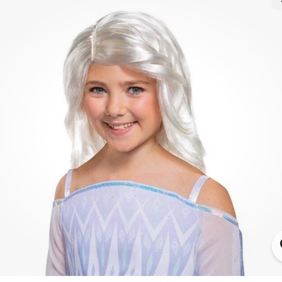 Disguise | Costumes | Disguise Frozen Elsa Child Wig Nwt | Poshmark
